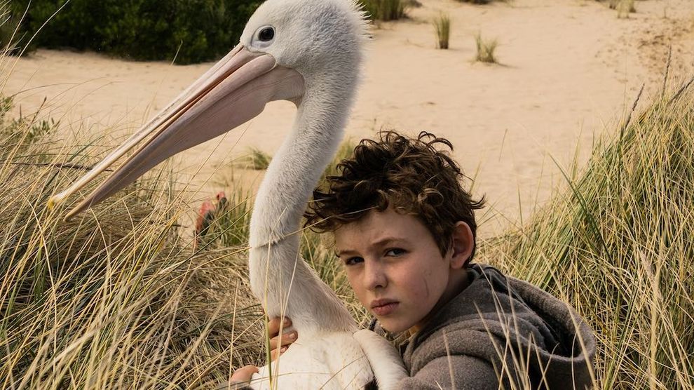Ja, hogy ez egy gyerekfilm? – Storm Boy kritika – Filmtekercs.hu