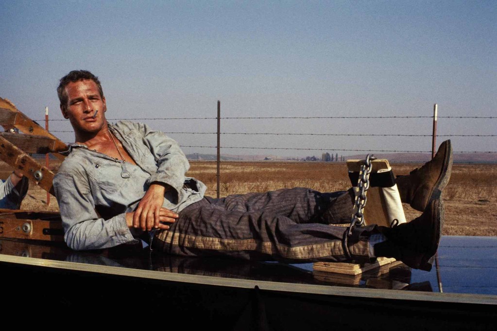 Bilincs és mosoly (Cool Hand Luke) kritika | Paul Newman filmje ...