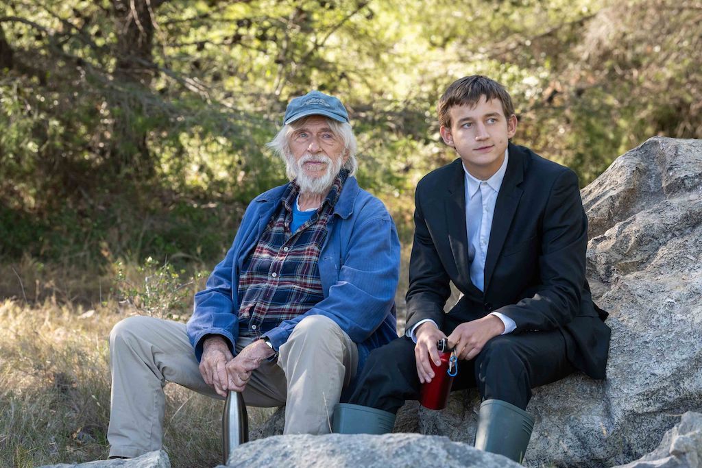 Elemi - kritika | Pixar - Filmtekercs.hu