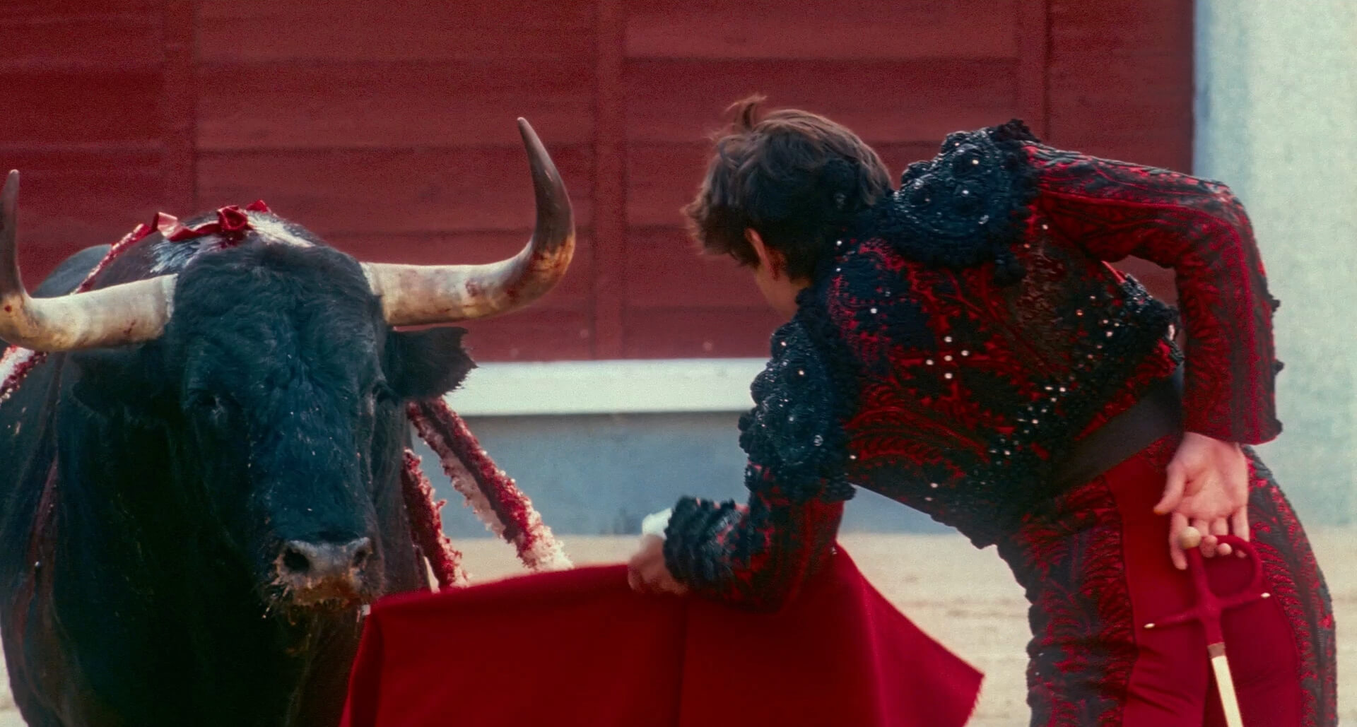 Afternoons of Solitude – kritika | Albert Serra dokumentumfilmje ...